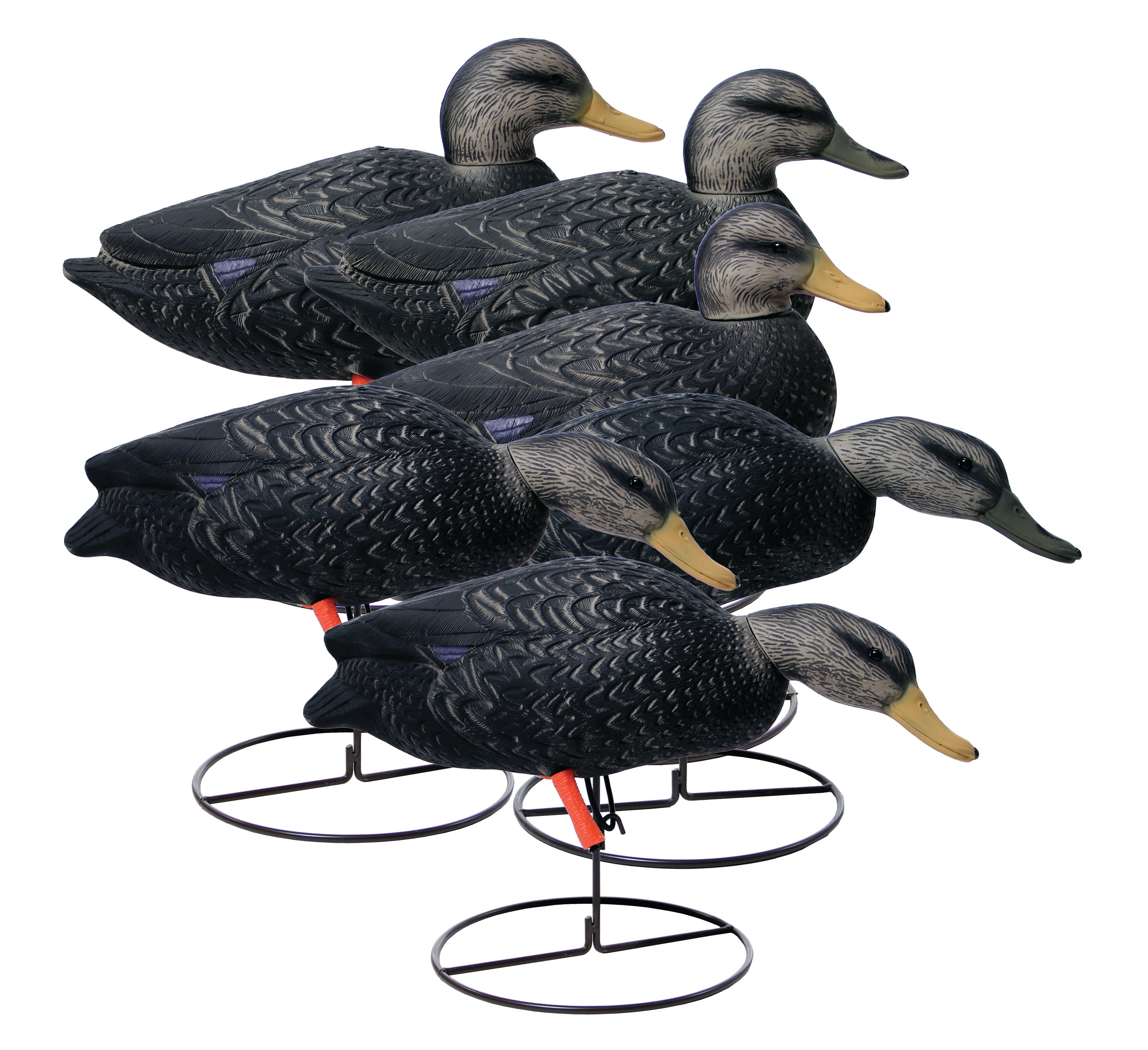 Magnum Full-Body Black Duck Variety Pk (6pk) – Bird Hunter Supply