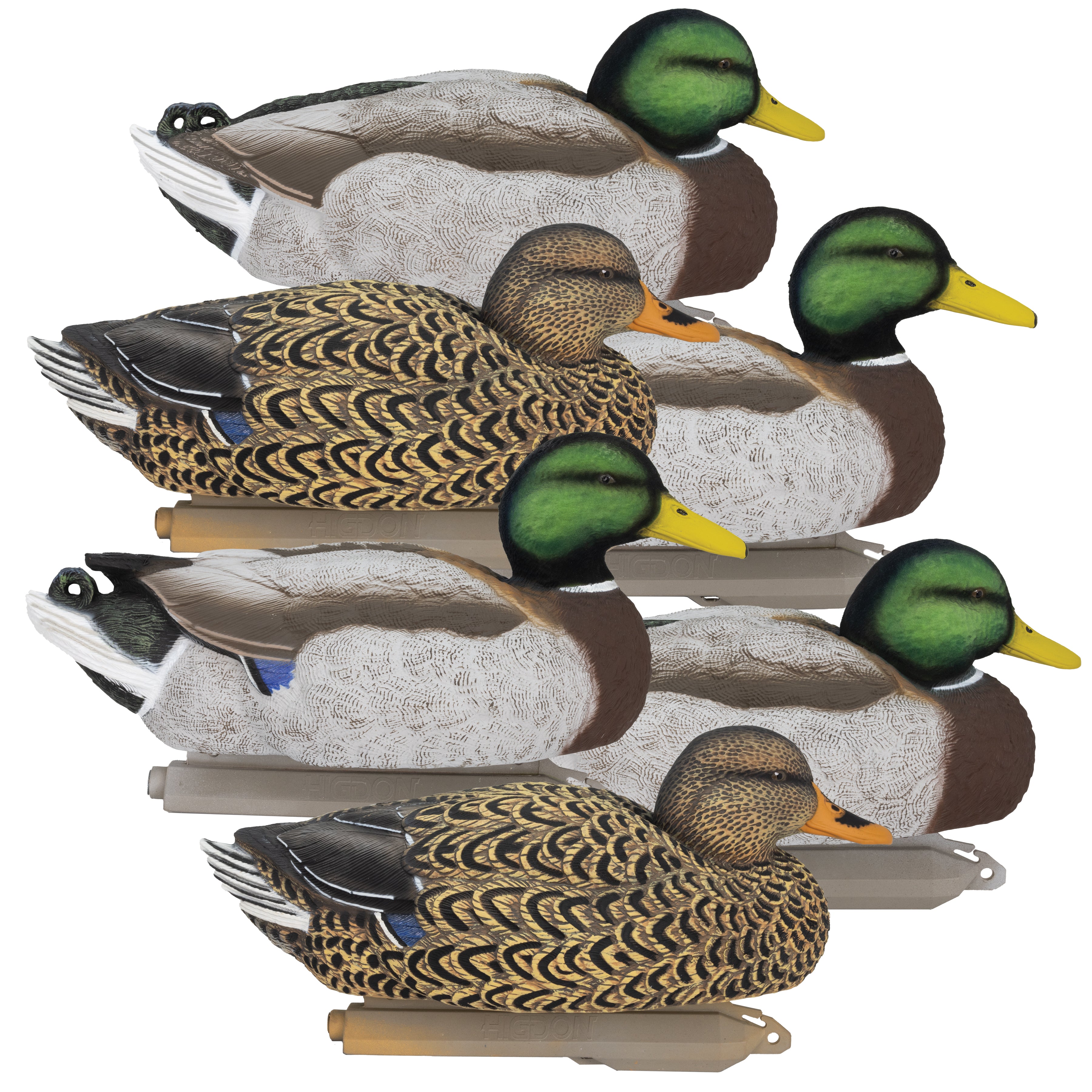 Legacy Magnum Mallard Foam Filled (6pk) – Bird Hunter Supply