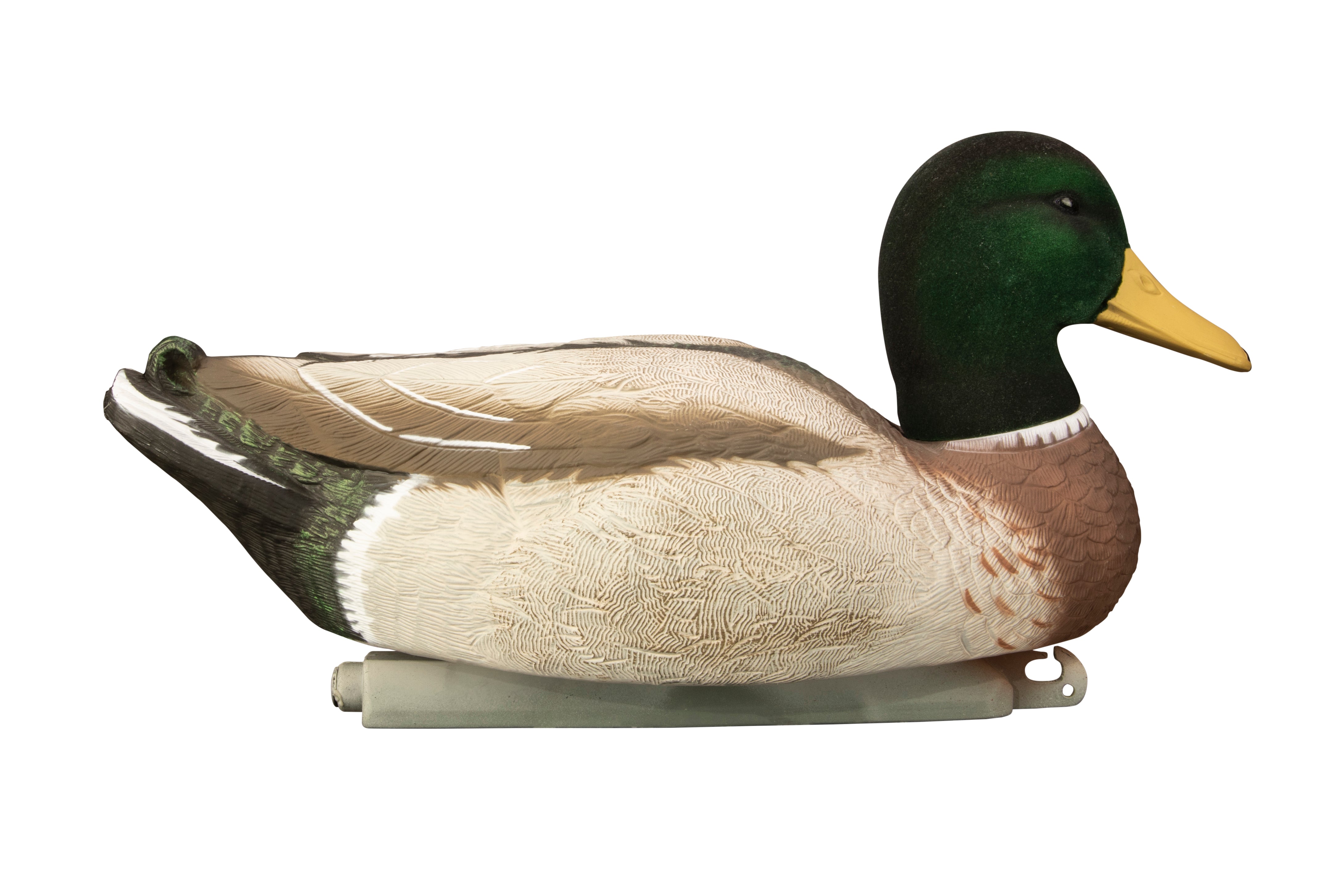 Magnum Mallard – 6 Pack – Bird Hunter Supply