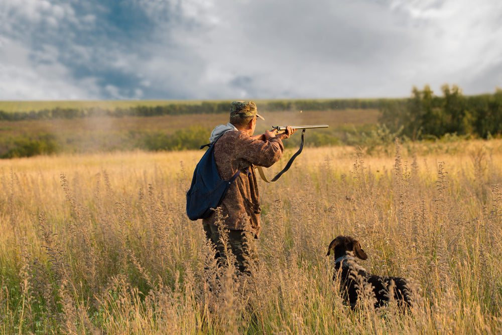 Bird Hunter Supply: Your Ultimate Destination for Premium Bird Hunting ...