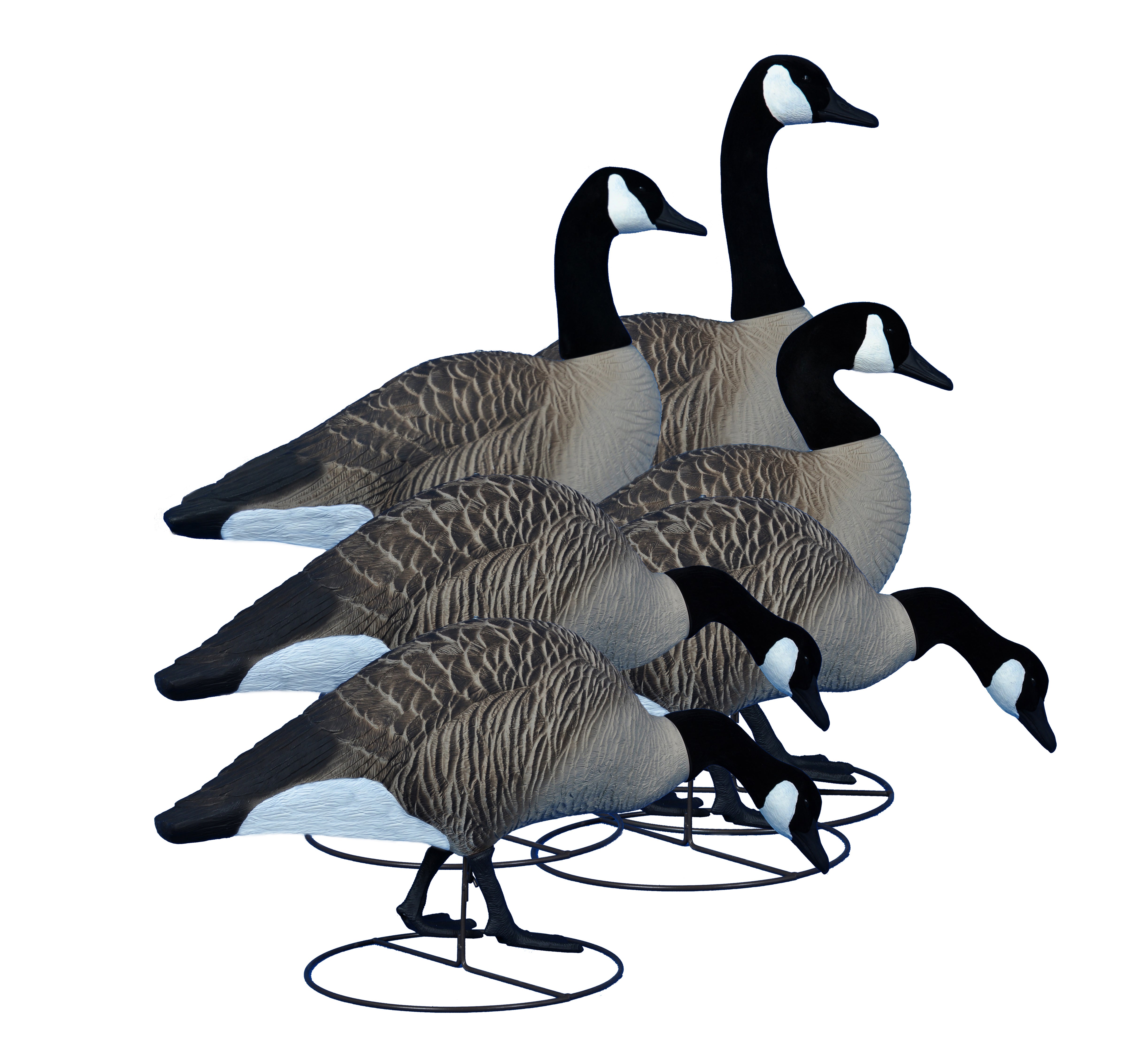 Alpha Magnum Full-Body Variety Pack, Canada , Flocked Heads (6pk ...