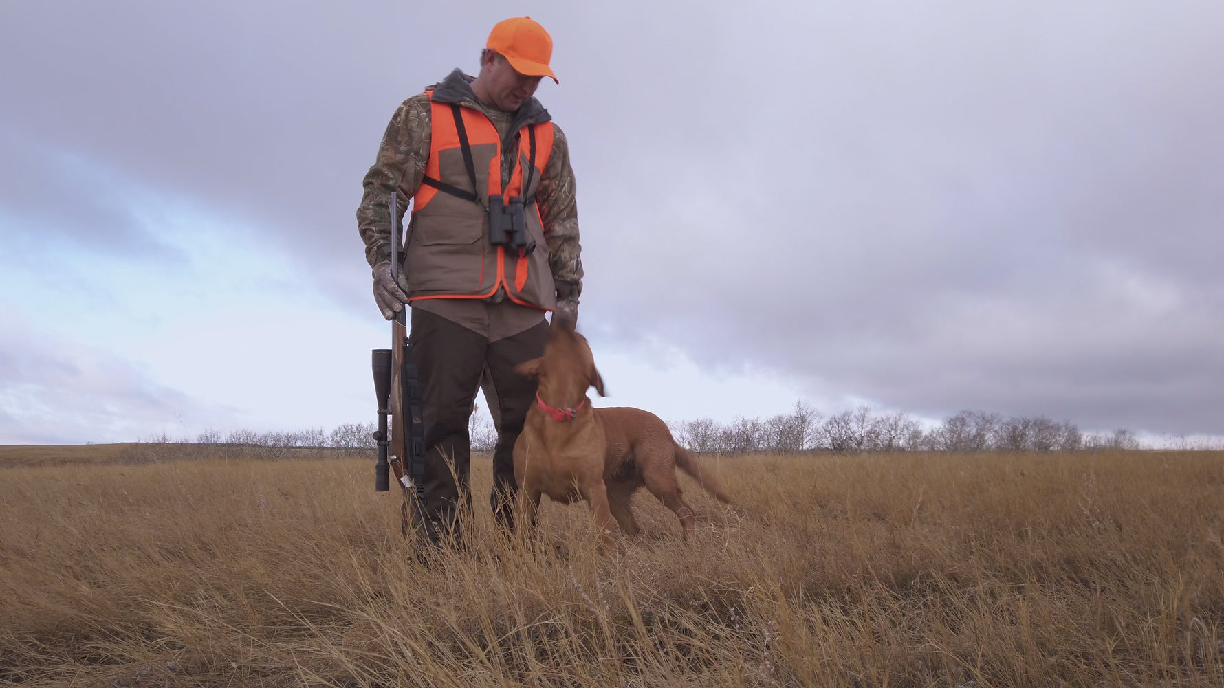 Bird Hunter Supply: Your Ultimate Destination for Premium Bird Hunting ...