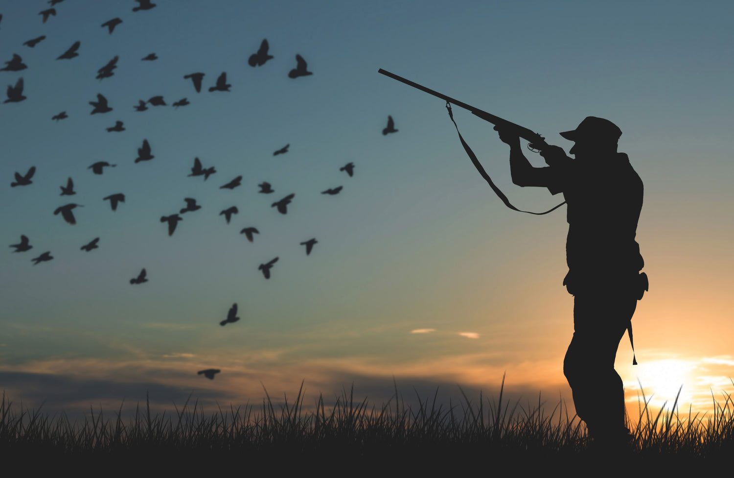 Bird Hunter Supply: Your Ultimate Destination for Premium Bird Hunting ...